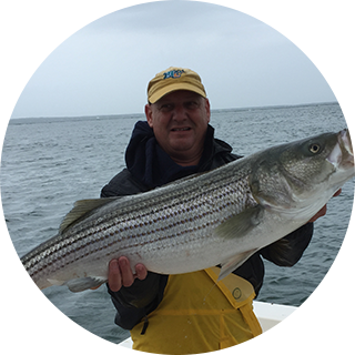 ACEHOUND Medical Letter Writing Platform